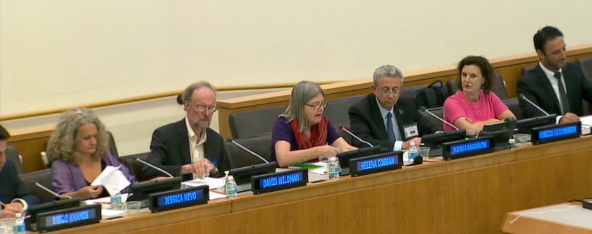 UN panel w HC - Just World Educational