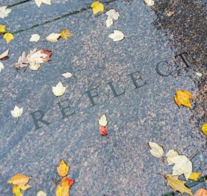 Nearly 50 years since the Kent State Massacre - Just World Educational