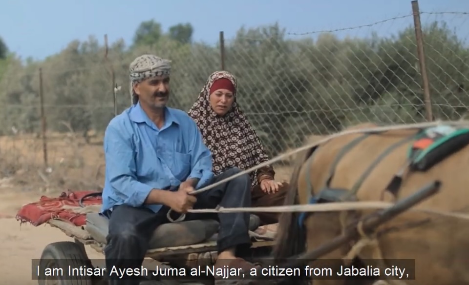 Gaza's destroyed food system: Our great documentary resources - Just ...